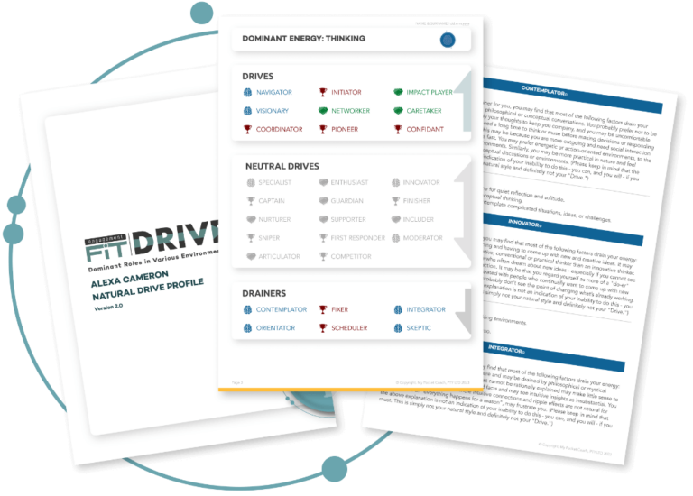Engagementfit Drive Assessment – EngagementFit